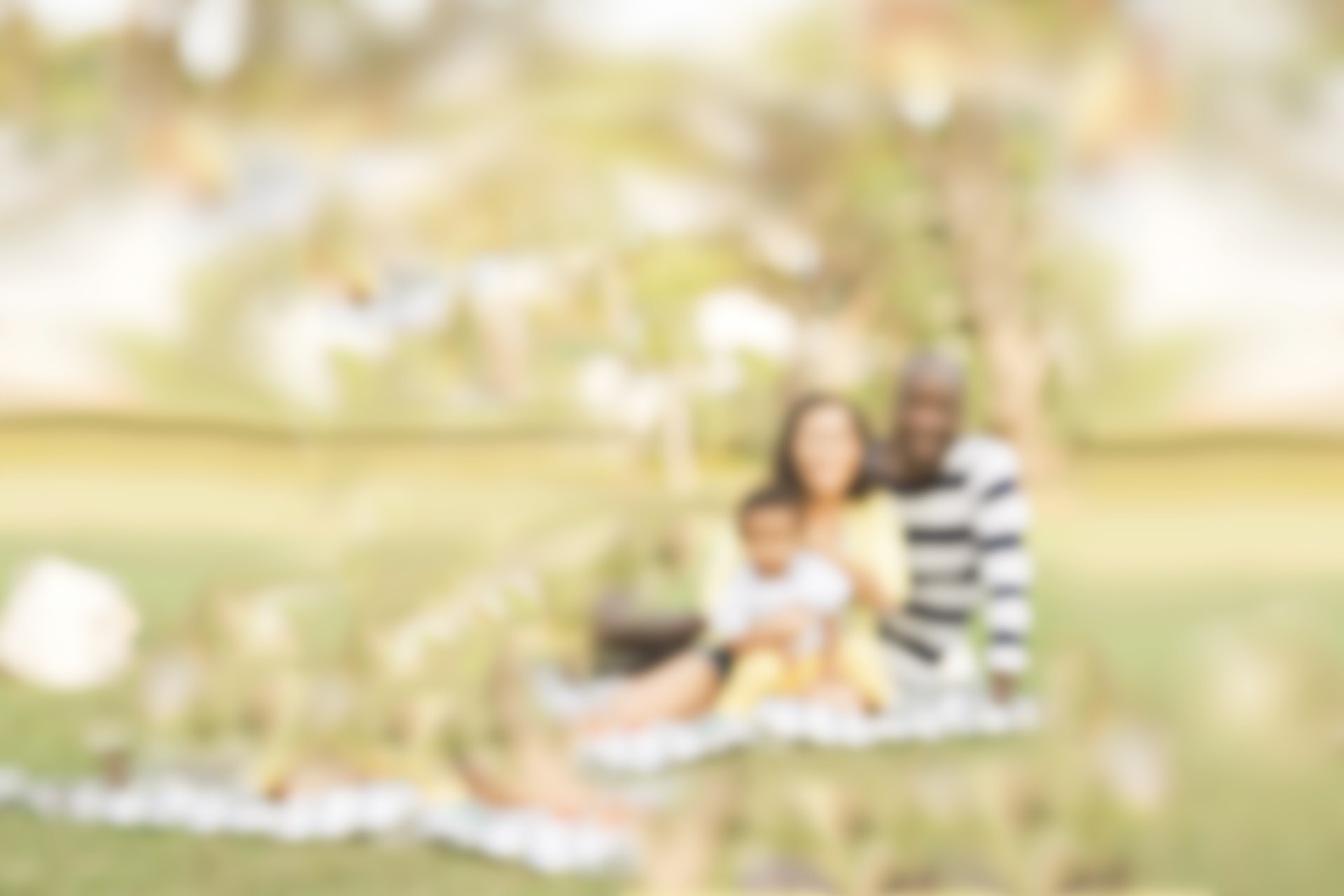 Biblically Responsible Investing for Over 25 Years | Timothy Plan®