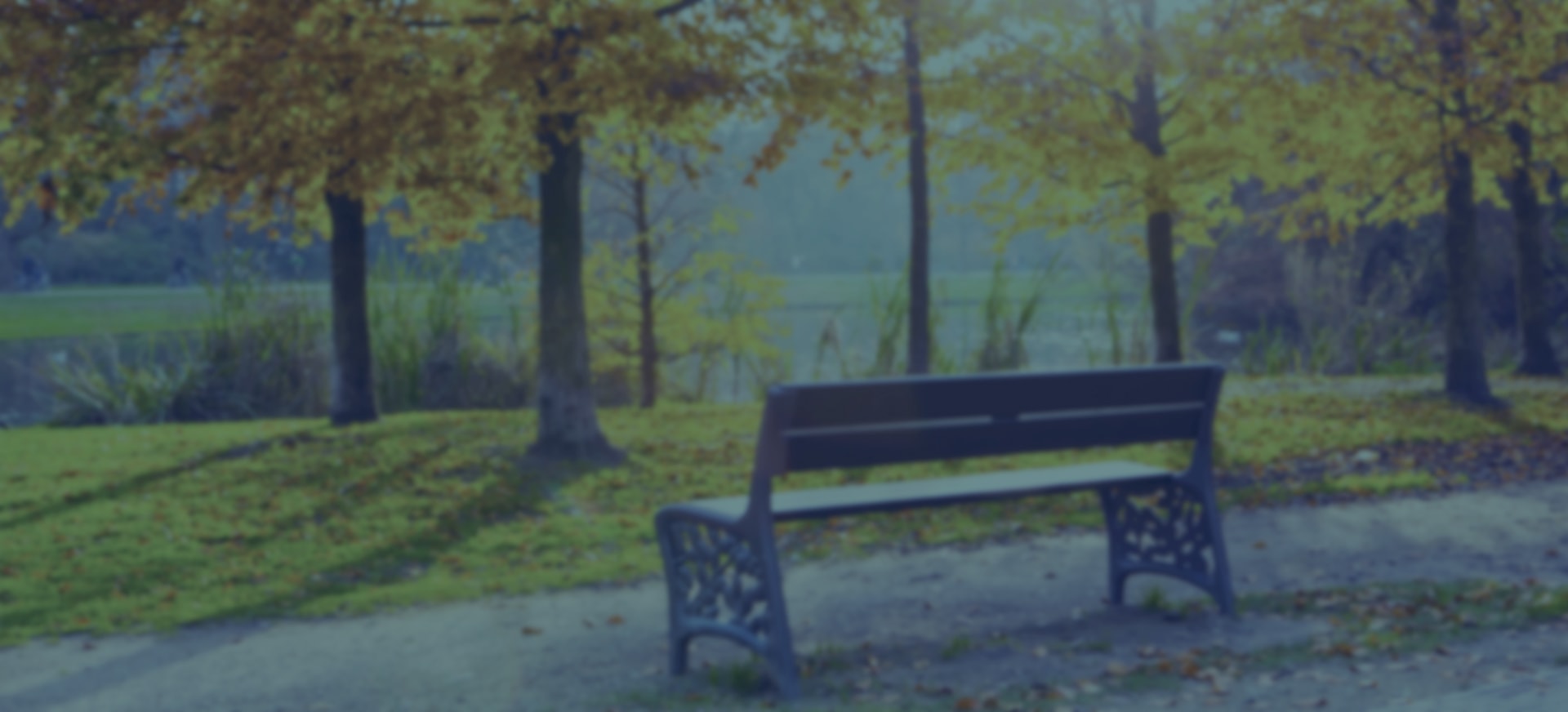 Biblically Responsible Investing for Over 25 Years | Timothy Plan®